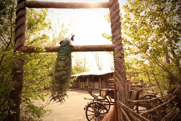 Bamboo Lodge Groningen - Groningen