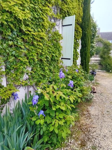 Ode Au Bonheur St Georges Sur Cher - Loir-et-Cher