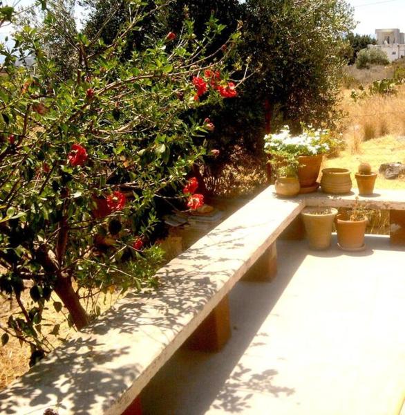 Sunny House 2 Minutes From The Sea! - Agios Nikolaos