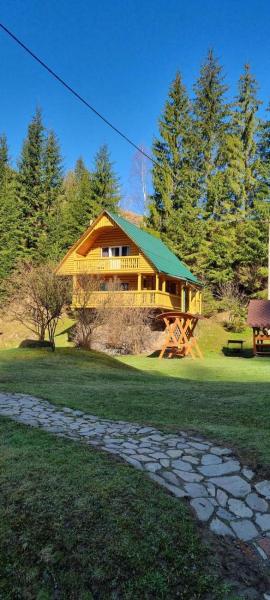 У Віти котедж 1 - Ивано-Франковская область