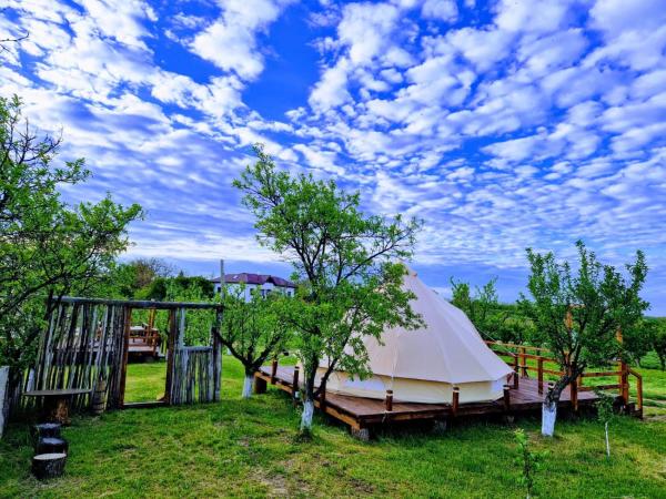 Glamping Livada Cu Lavanda - Giurgiu