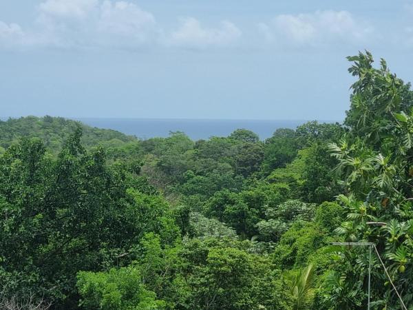 Accueil Créole - Deshaies