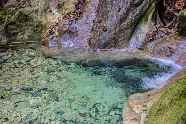 The Hamilton's Nature Villa - Jamaica