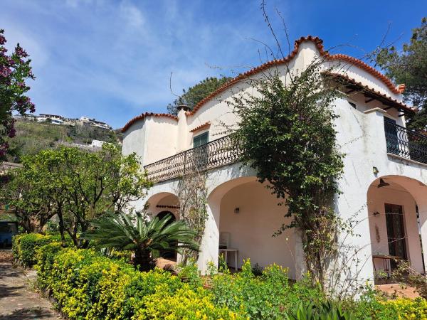 Villa L'innominata - Ischia