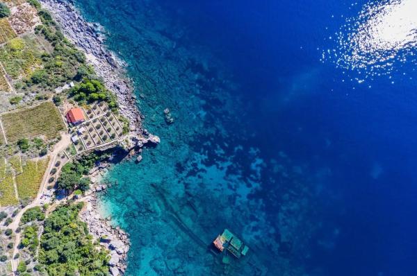 Seaside House For Families With Children Postup, Peljesac - 20849 - Trpanj