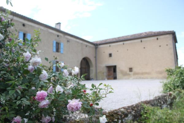 Gîte - La Couderquié - Castres