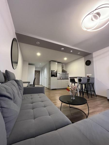Lovely Flat With Great Central Location Vilnius - Vilnius