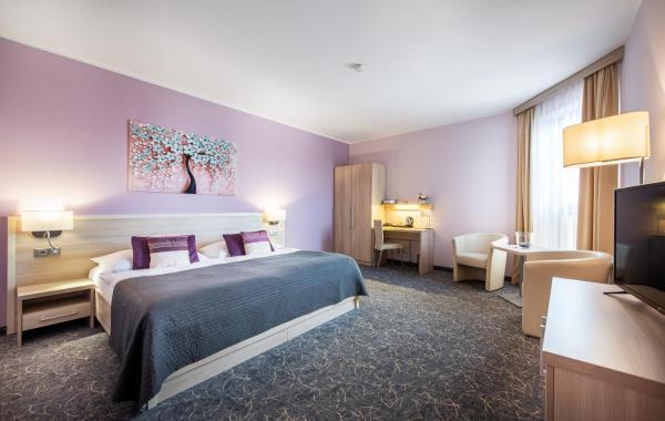 Hotel Mlynska - Tchéquie