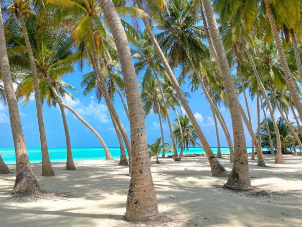Captal Island Villa - Maldiven