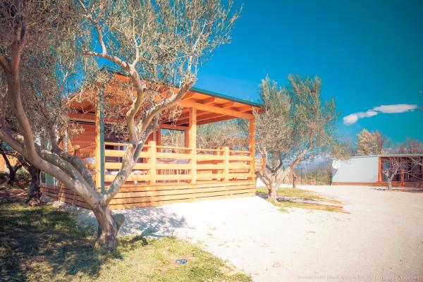 Mobilheim Mate1 - Nin