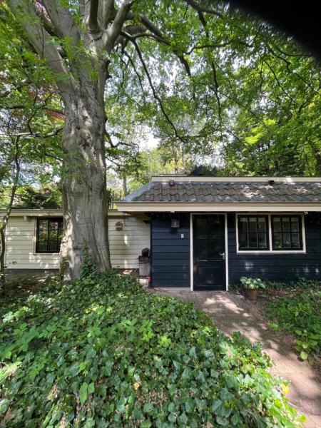 Cottage Het Beukenootje - Hillegom