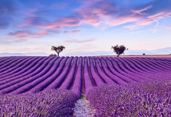 La Maison Des Collines - Valensole