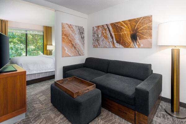 Springhill Suites Asheville - Asheville, NC