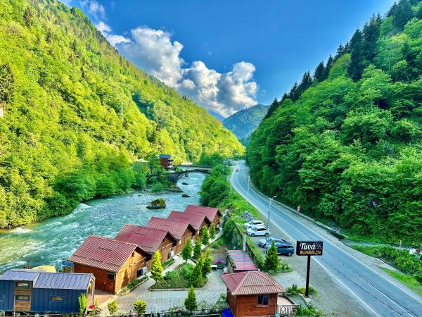 Tuva Vi̇lla Bungalov - Rize