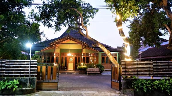 Sleepy Raccoon Hostel - Yogyakarta