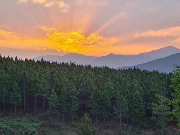 Majestic View Self Catering Guest House - Sabie