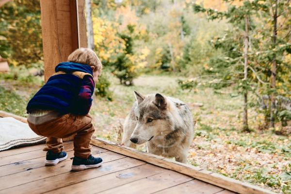 Parc Omega - Quebec