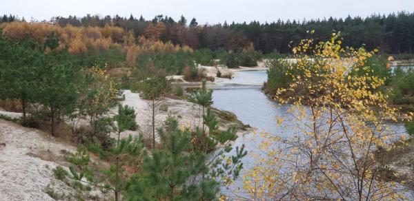 Sfeervolle Villa In Gasselte Drenthe Bij Hemelriek - Drenthe