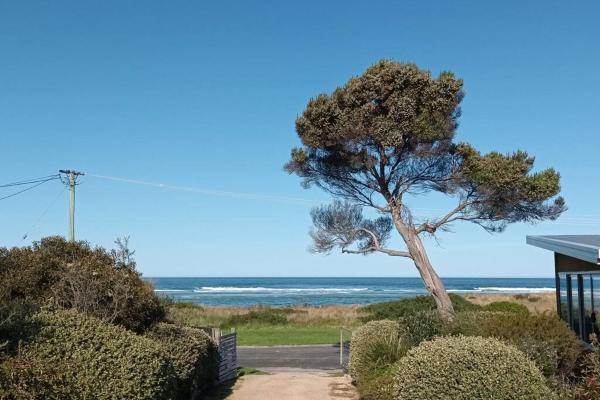 The Dunes - King Studio - 50m From Scamander Beach - Scamander