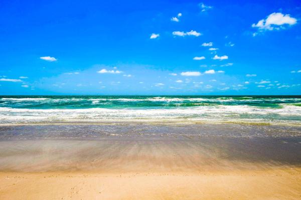 Shortboard - Anna Maria, FL