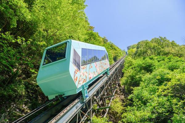 祖谷温泉 - 徳島県