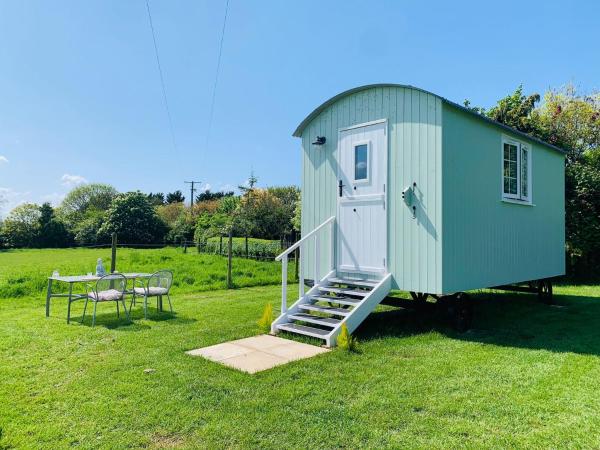 Bells Meadow Shepherds Hut - Cambridgeshire