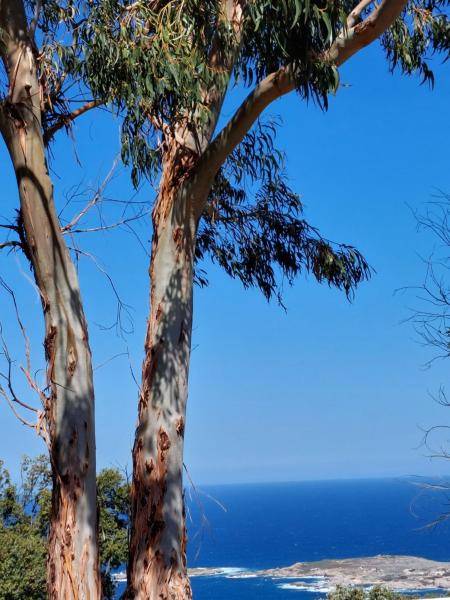 Lavatoggio - Haute-Corse