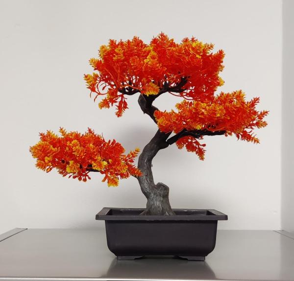 La Casa Ciarlasca - Rozzano