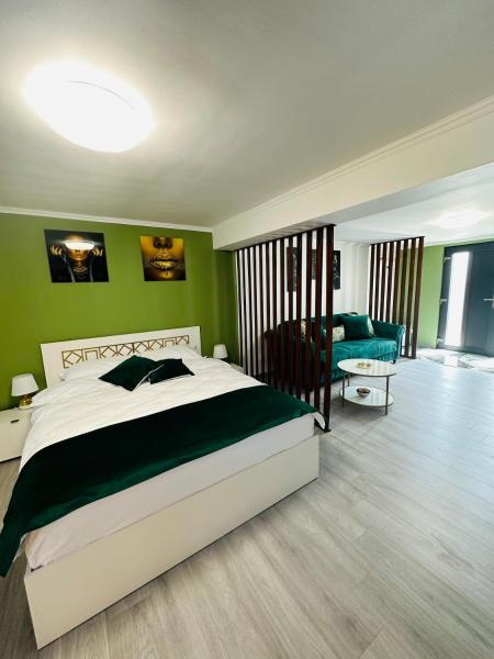 Irom Family Residence - Sibiu