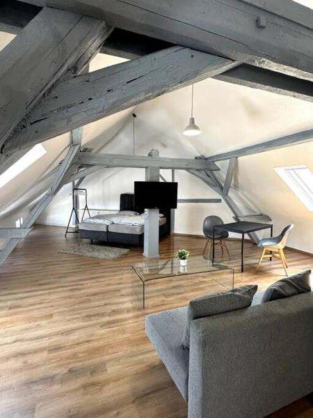 T-apartments - Marktheidenfeld