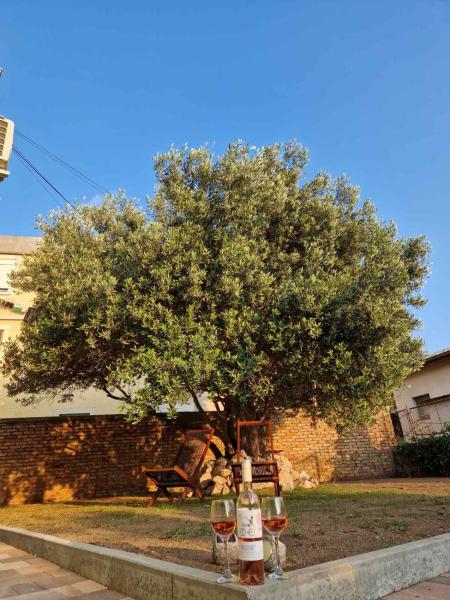 Apartmani Studio Apartmani Senjska Maslina - Senj