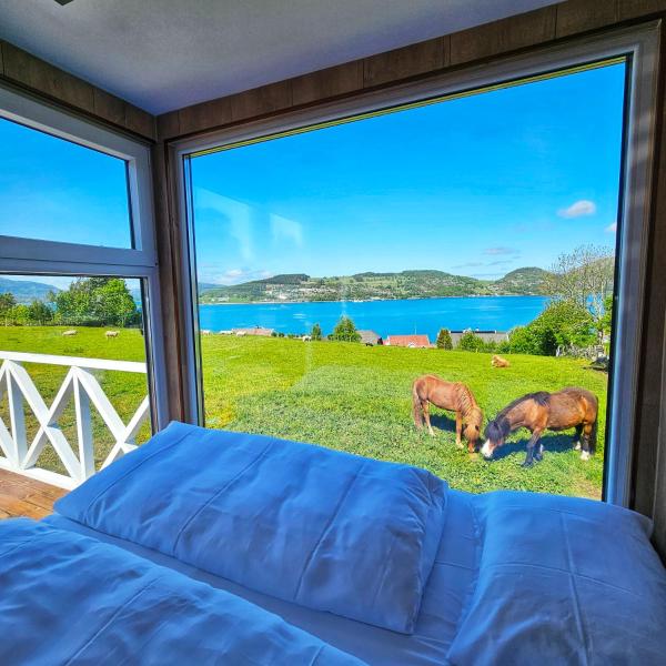 Lysefjorden - Gøysa Gard - Norge