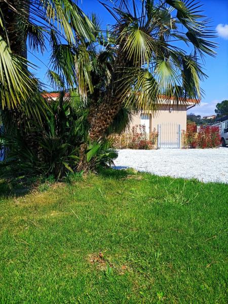 Il Tarassaco-exclusive Pool - Pontedera
