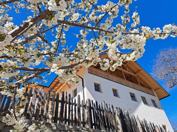 Pignathof Castanea - Bolzano