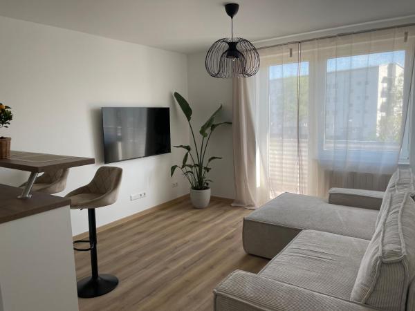 Neue Stilvolle 2-zimmer Wohnung Im Zentrum Von Wolfsburg - Wolfsburg