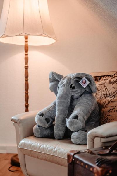 Olifant In Osterode - Osterode am Harz