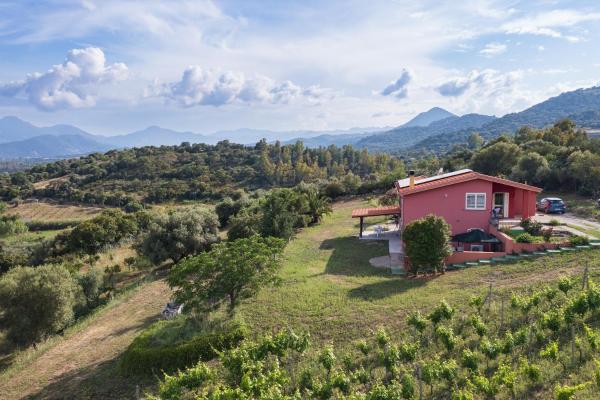 La Collina Degli Ulivi - Bari Sardo