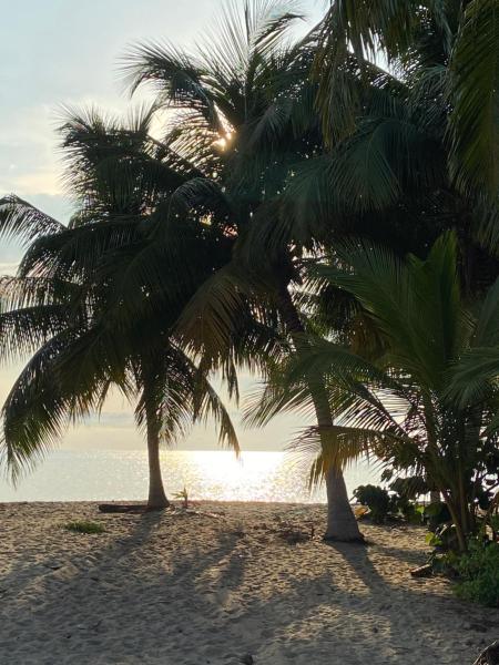 Anda Di Hows Hostel - Placencia