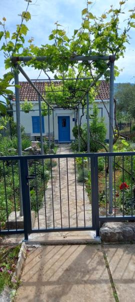 Studio Apartman Roza - Ston