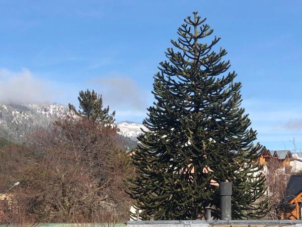 Departamentos Silvia - San Martín de Los Andes