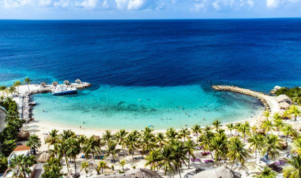 Triple Tree # 7 - Curaçao