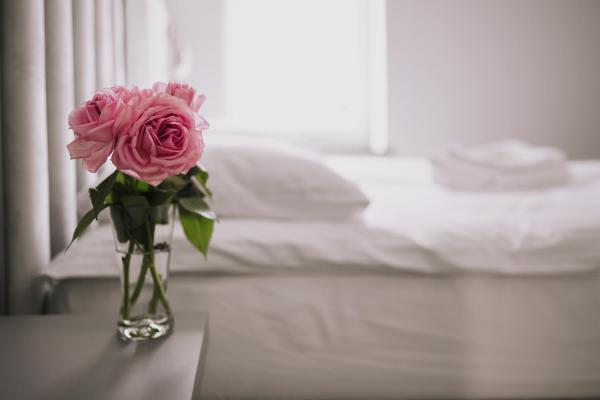 Między Murami - Toruń