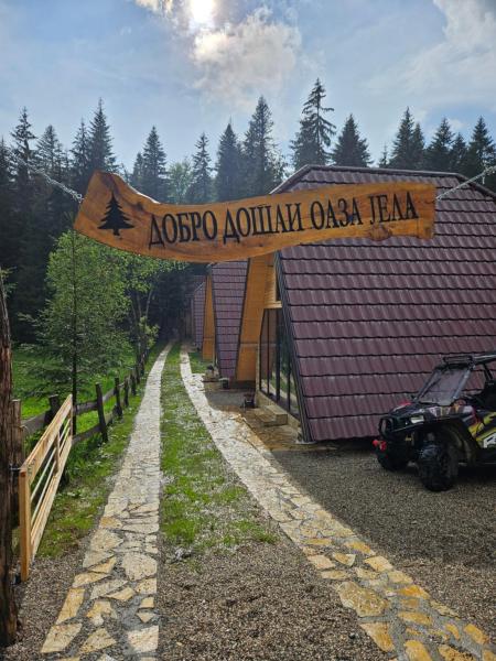 Oaza Jela - Mokra Gora