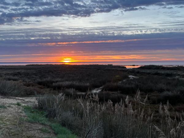 Mobil Home Climatisé Au Calme Et Proche Des Activités Lege Cap Ferret - Cap Ferret