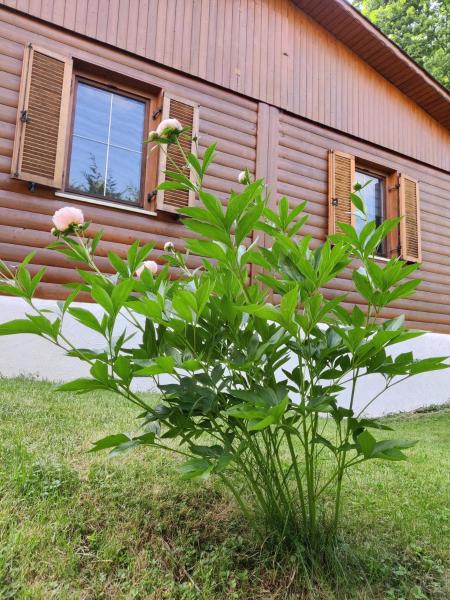Ferienwohnung Grete, An Der Weinstraße - Austria