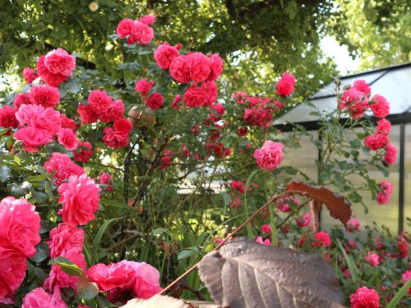 Ferienwohnung Am Rhein - Feldkirch