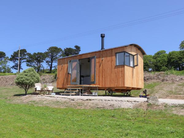 Little Pip - Marazion