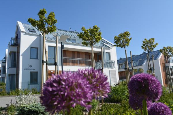 Mario Mechelinki - Jastarnia