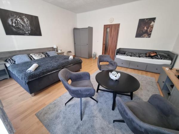 ČErný Tulipán - Apartmán 3 - Pilsen