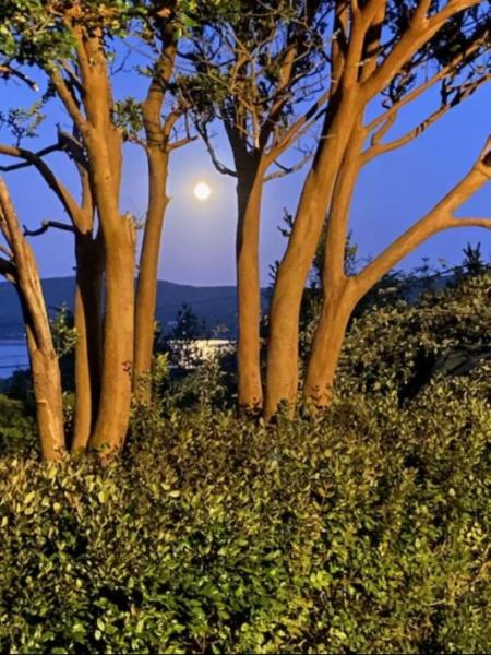 Rodeen Self-catering Apartment - County Kerry